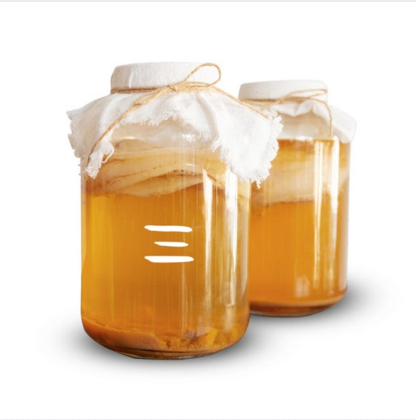 LETTERBOX: Organic Kombucha Making Kit + 1 bottle of original kombucha ...