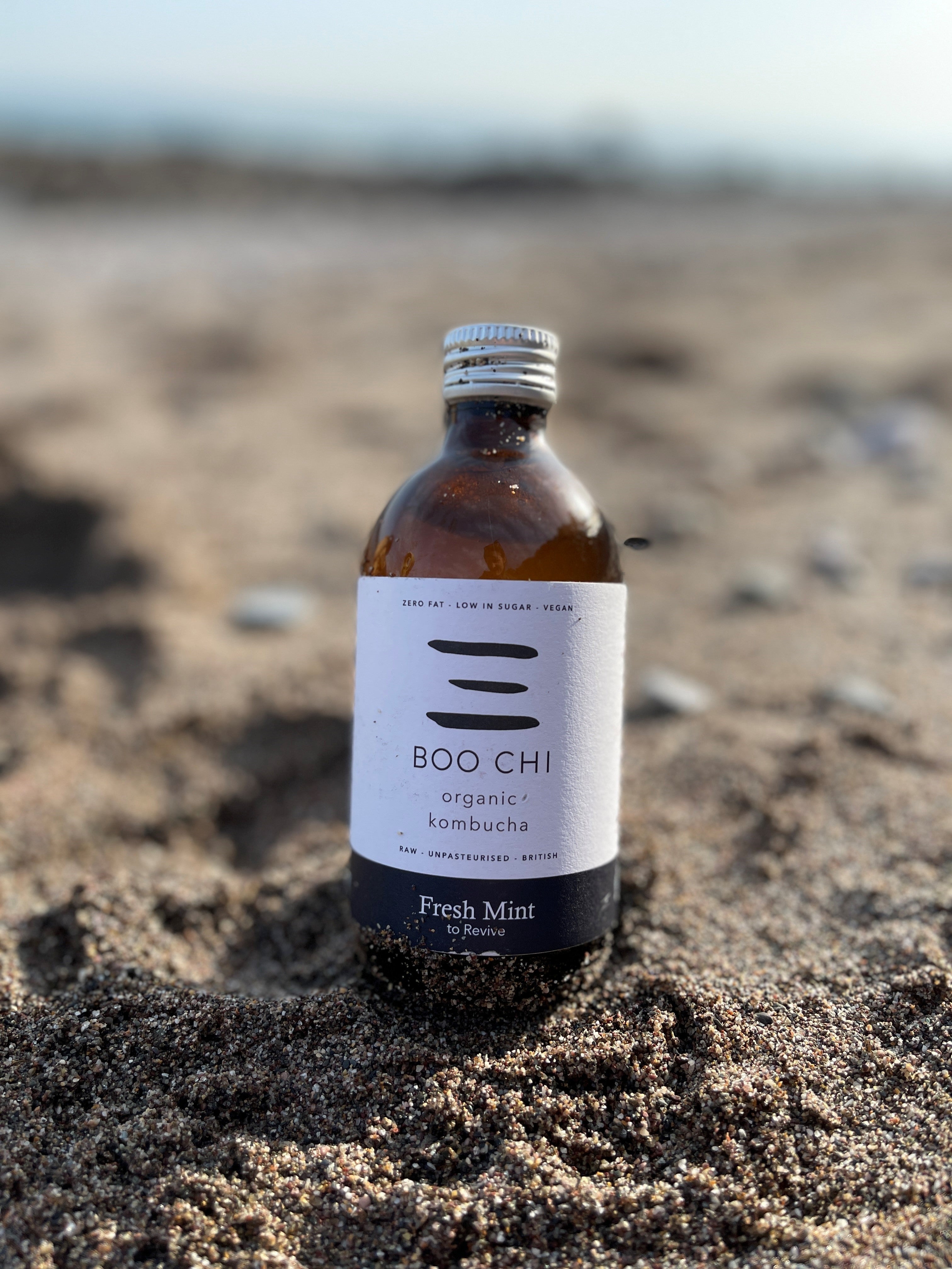 REVIVE: Fresh Mint - 12 x 330ml – Boo Chi Kombucha