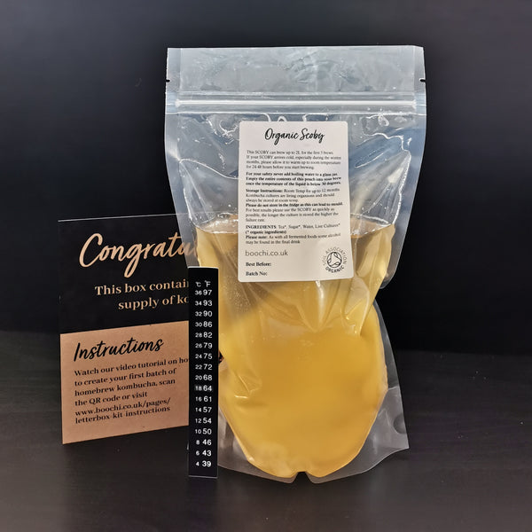 kombucha scoby uk